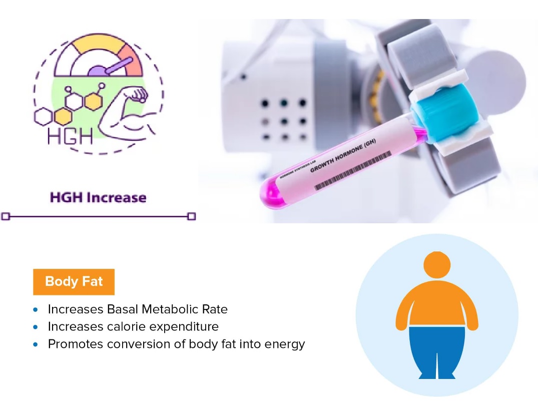 The Ultimate Guide To HGH Courses: What You Need To Know | BalkanPharma